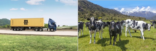 Transport your dairy cargo from Poland to West Africa with experts at ...