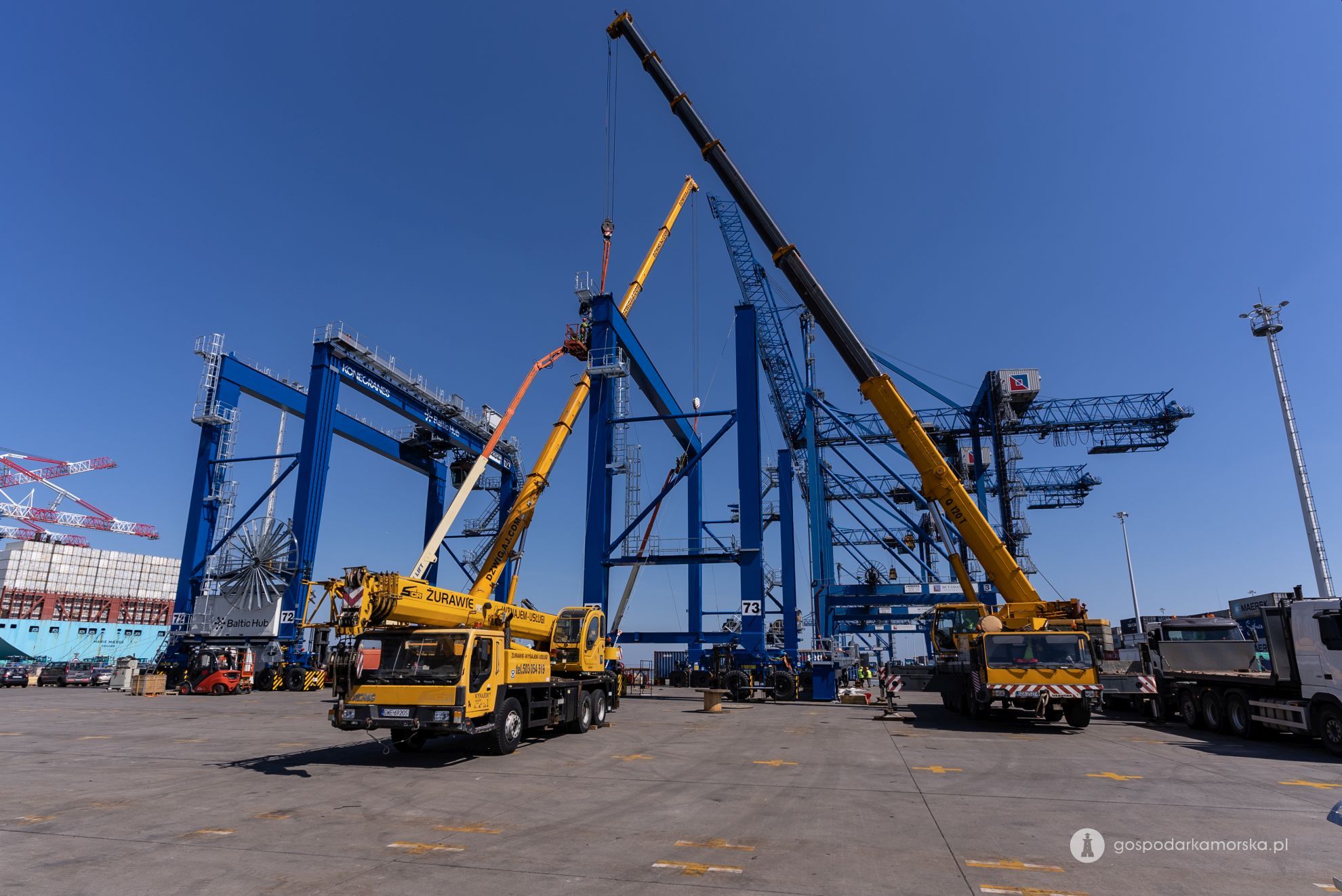 New automatic cranes have been assembled at the Baltic Hub ...