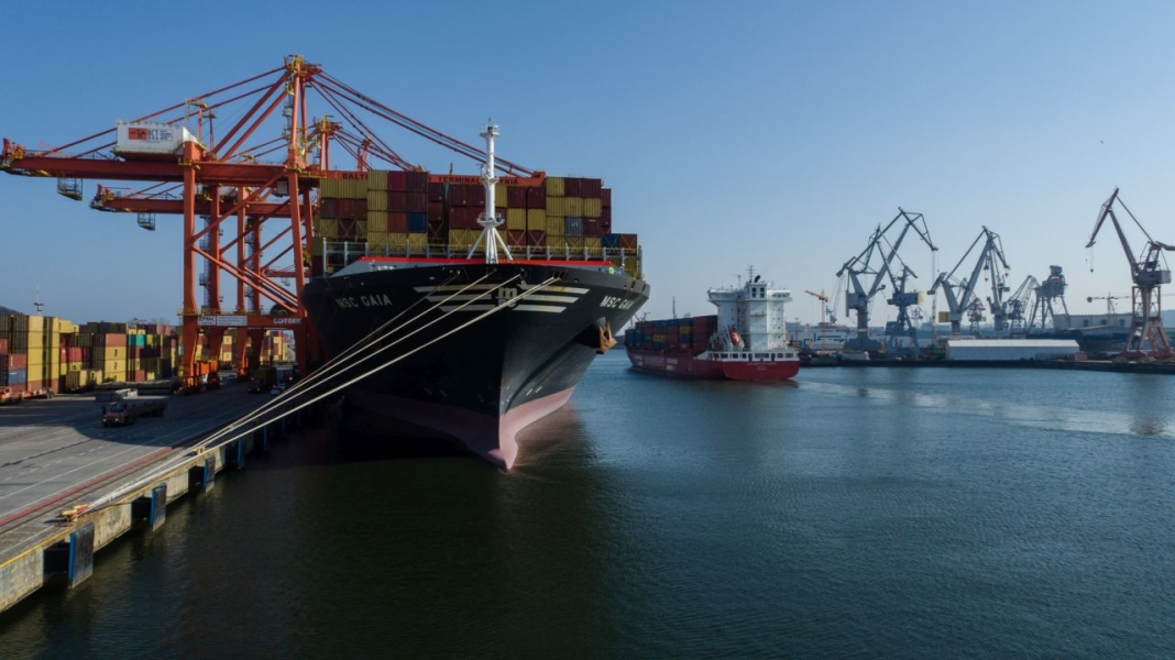 The record-breaking container ship MSC Gaia in BCT [VIDEO ...